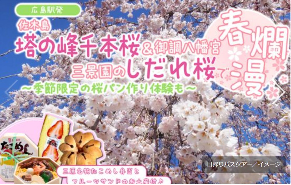 【そらみちみなと×HIS バスツアー】佐木島 塔の峰千本桜＆御調八幡宮・三景園のしだれ桜で春爛漫♪【広島駅発】＜Bコース：桜パン作り体験 ...