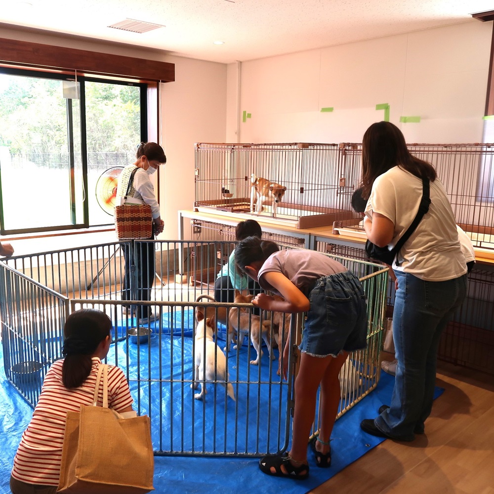 広島県動物愛護センターイベント|広島県 三原・世羅の観光情報／【公式】そら・みち・みなと